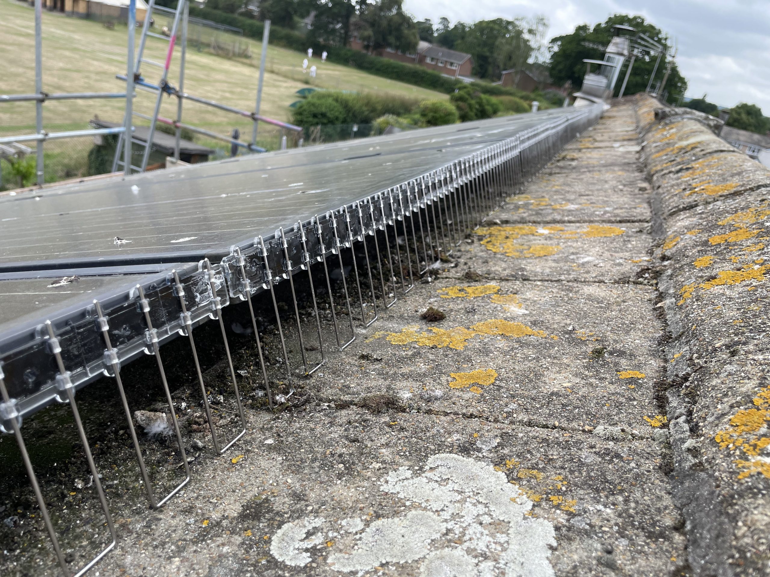 Bird Proofing | Ringwood Pest Control